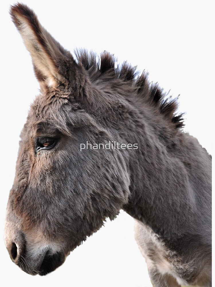 "Donkey" Sticker for Sale by phandiltees | Redbubble