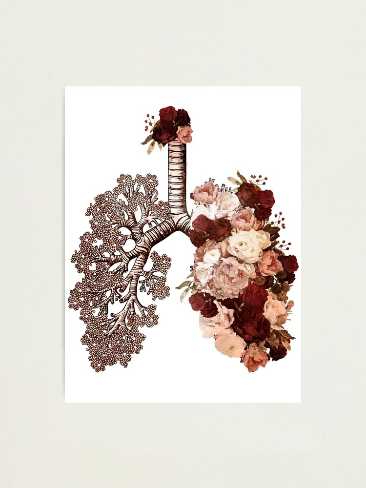 "lungs cancer awareness, bloom roses floral, anatomy, watercolor ...