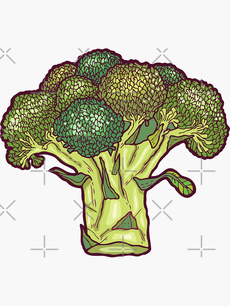 "brilliant broccoli" Sticker for Sale by smalldrawing | Redbubble