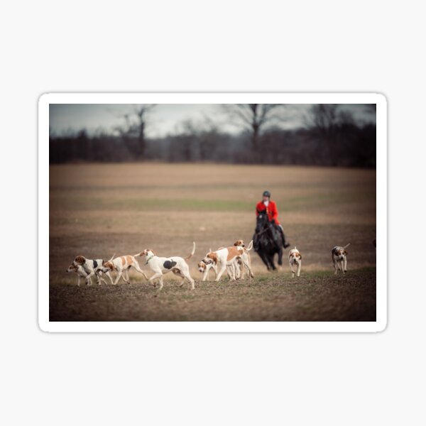 "Traditional Fox Hunt" Sticker for Sale by markspowart | Redbubble