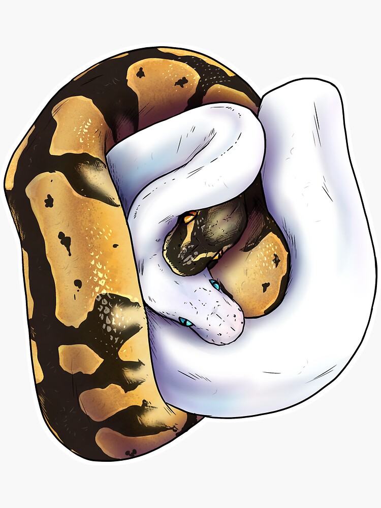 "Ball Pythons" Sticker by cheapbourbon | Redbubble