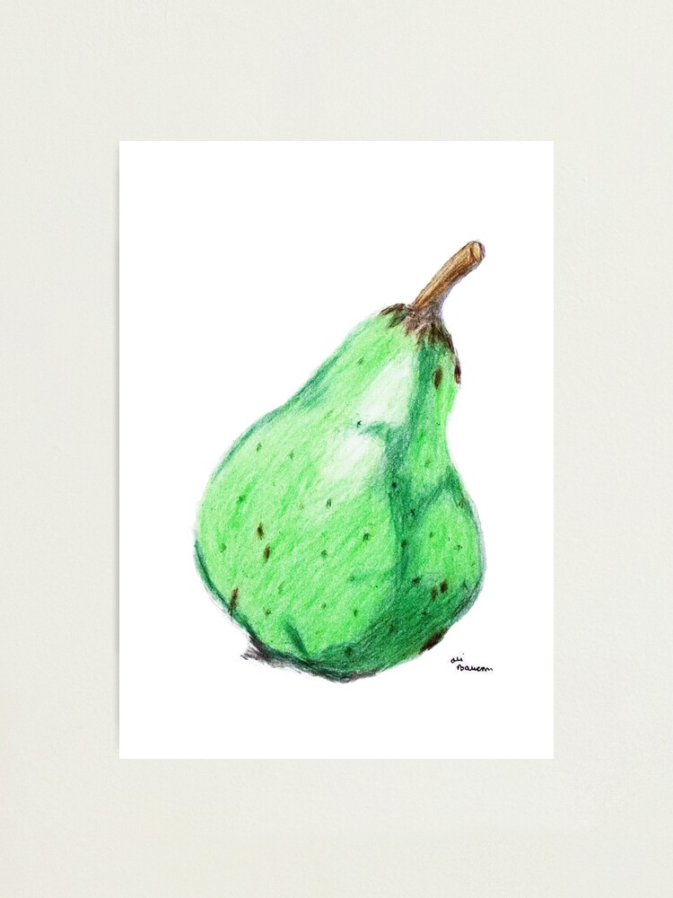 Lámina fotográfica «Dibujo a lápiz de color dibujado a mano de pera ...