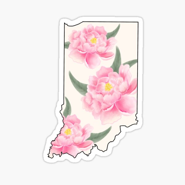 "Indiana" Sticker for Sale by Isolation-Art | Redbubble