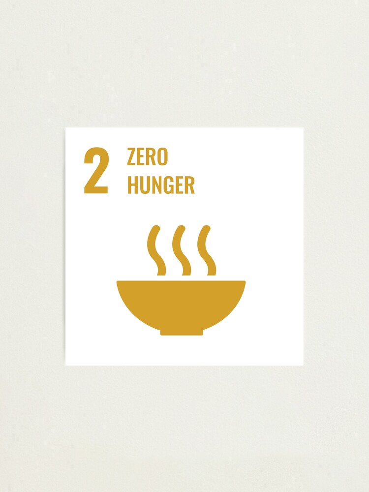 "UN SDG 2 Zero Hunger - End hunger, achieve food security and improved ...