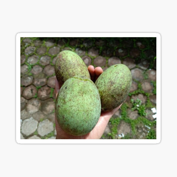 "hand-held mangoes" Sticker by imusa95 | Redbubble