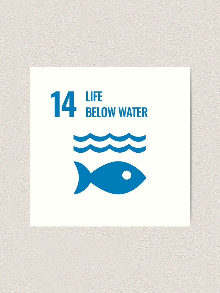 "UN SDG 14 Life Below Water - Conserve and sustainably use the oceans ...