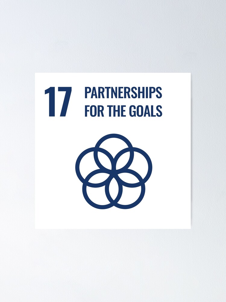 "UN SDG 17 Partnerships for the Goals - Strengthen the means of ...