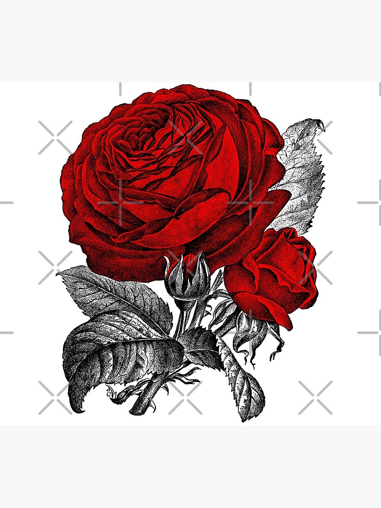 Póster «Diseño gráfico de flores rosas rojas vintage» de ...