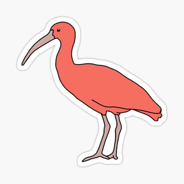 "Scarlet Ibis" Sticker for Sale by taylorrowan | Redbubble