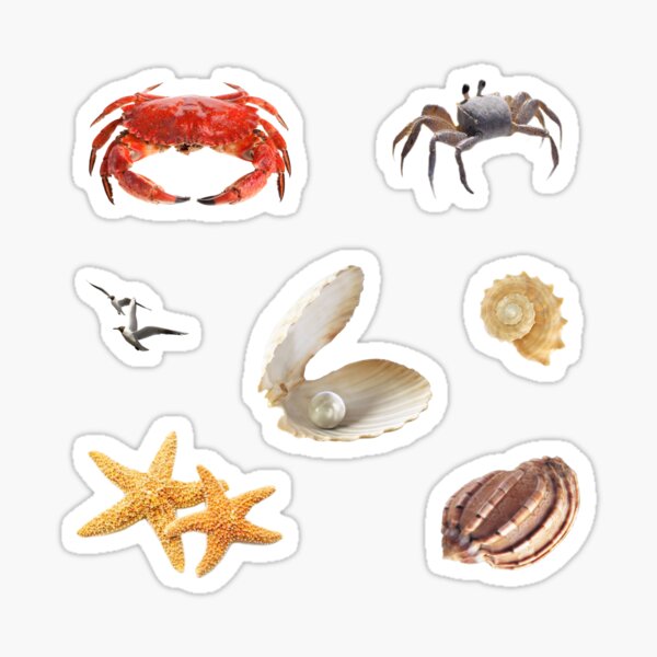 "Seashells sticker pack Sea star Crabs" Sticker for Sale by ...