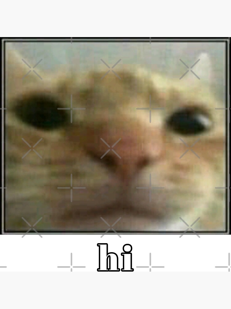 Hey Cat Memes Hey Remember Me? Confession Cat Meme Generator