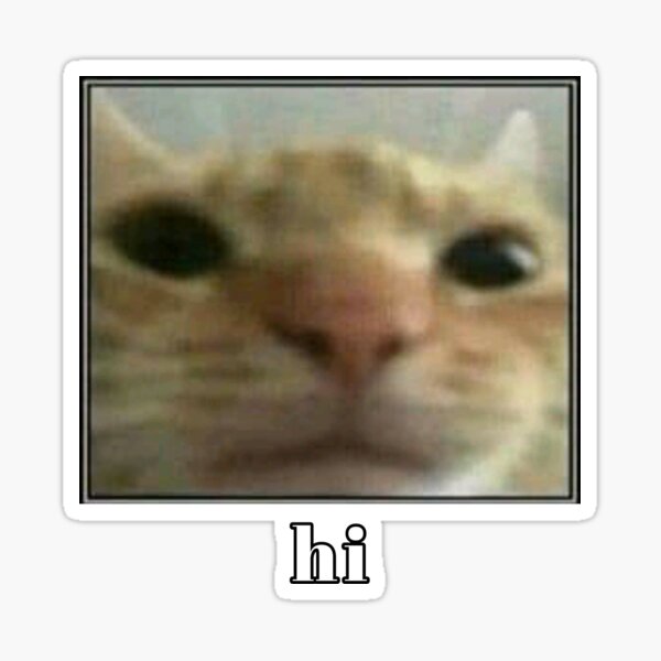 "Cat meme HI" Sticker for Sale by WanderingTrader | Redbubble