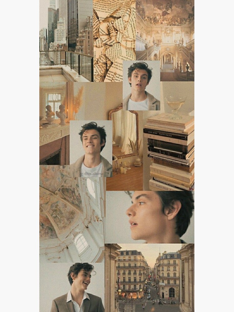 "collage Louis Partridge" Sticker for Sale by Annebelschroer | Redbubble