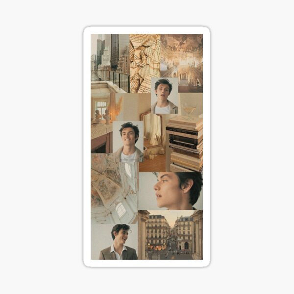 "collage Louis Partridge" Sticker for Sale by Annebelschroer | Redbubble