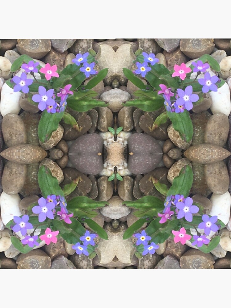 "Forget Me Nots on the Rocks Photograph" Sticker for Sale by MillaFlora ...