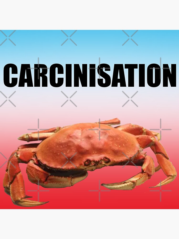 "Carsinisation" Sticker by ZGarbageTurtle | Redbubble