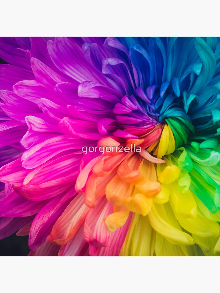 "Magnificent" Sticker for Sale by gorgonzella | Redbubble