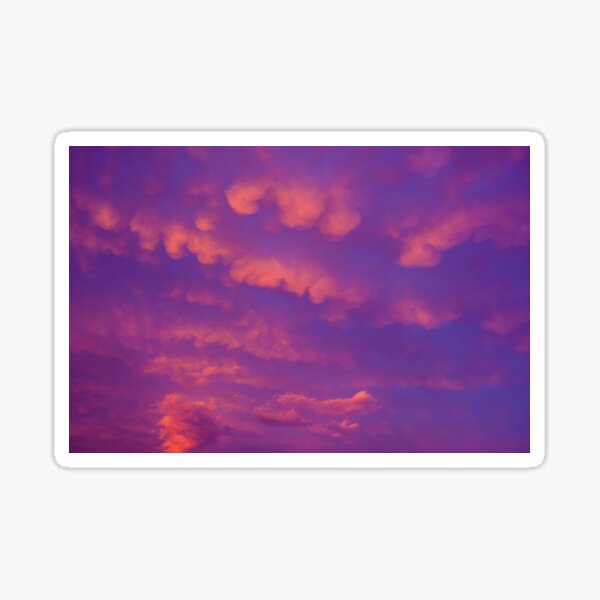 "Pink & Purple Sunset Sky" Sticker for Sale by newburyboutique | Redbubble