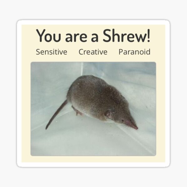 "You are a Shrew!" Sticker for Sale by bunnipop | Redbubble