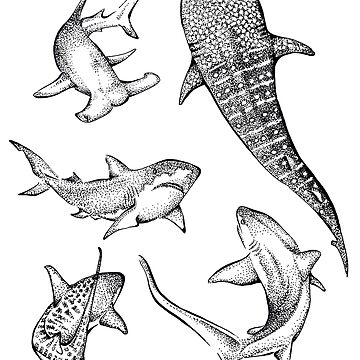 "Sharks Ink Drawing" Sticker for Sale by camilashannon | Redbubble
