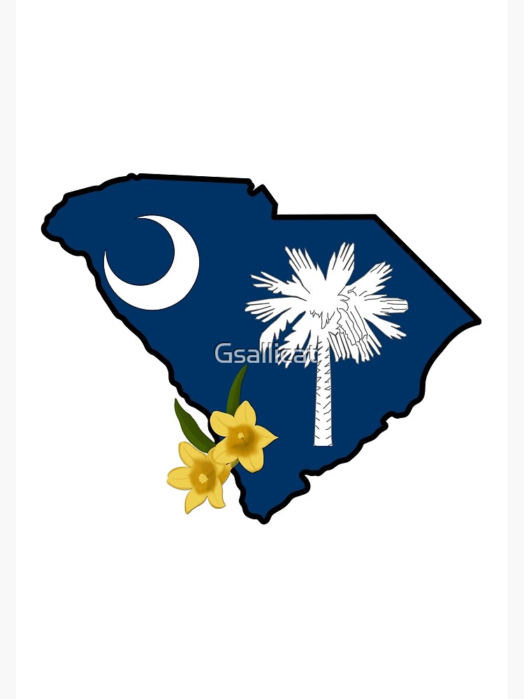 "State of South Carolina Flag with State Flower Yellow Jessamine ...