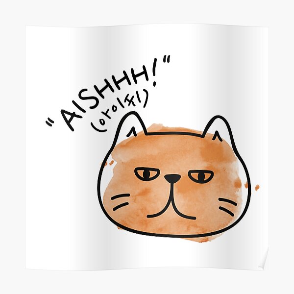 " Aishhh! (아이씨) Grumpy Cat" Poster for Sale by SeoulJourner | Redbubble
