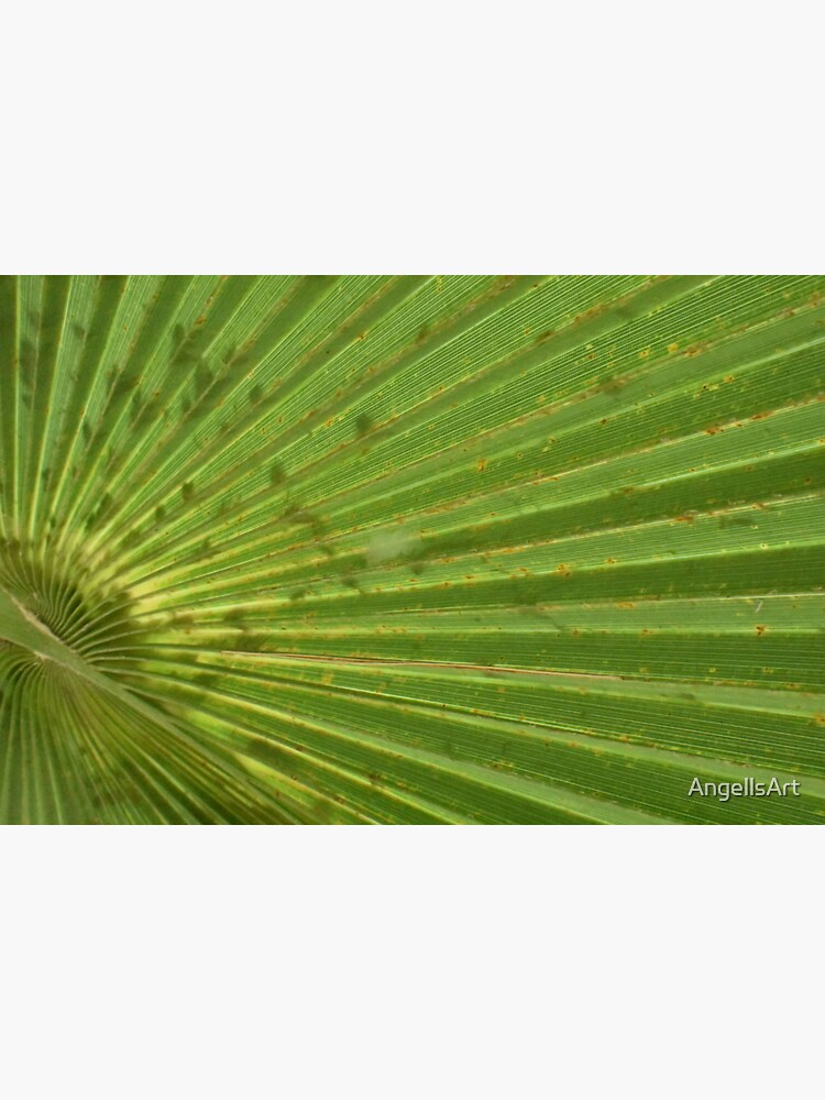 "Big leaf " Sticker for Sale by AngellsArt | Redbubble