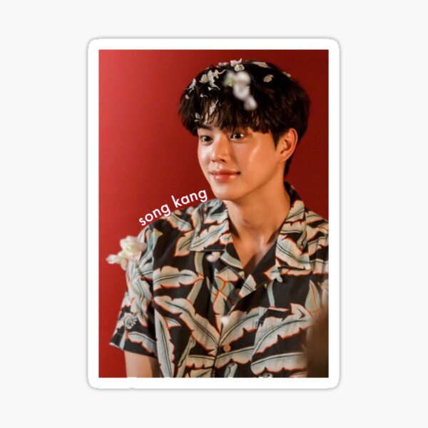 "Copy of SONG KANG / 송강 ACTOR /K-ACTOR/KDRAMA" Sticker for Sale by ...