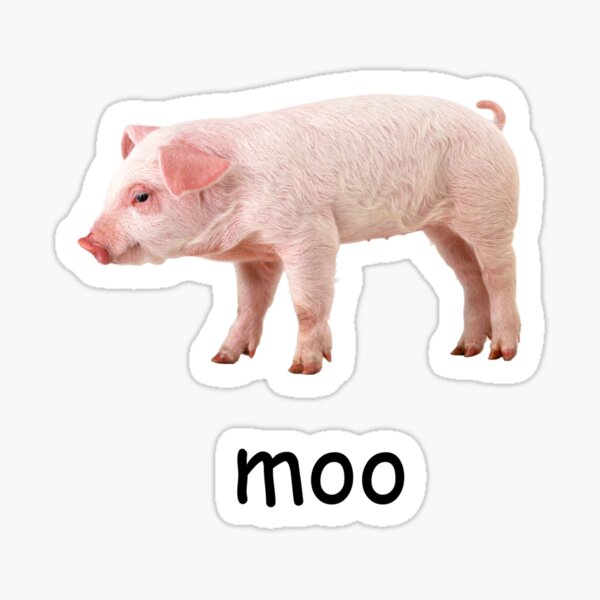 "stoopid pig" Sticker for Sale by stoopiddesigns | Redbubble