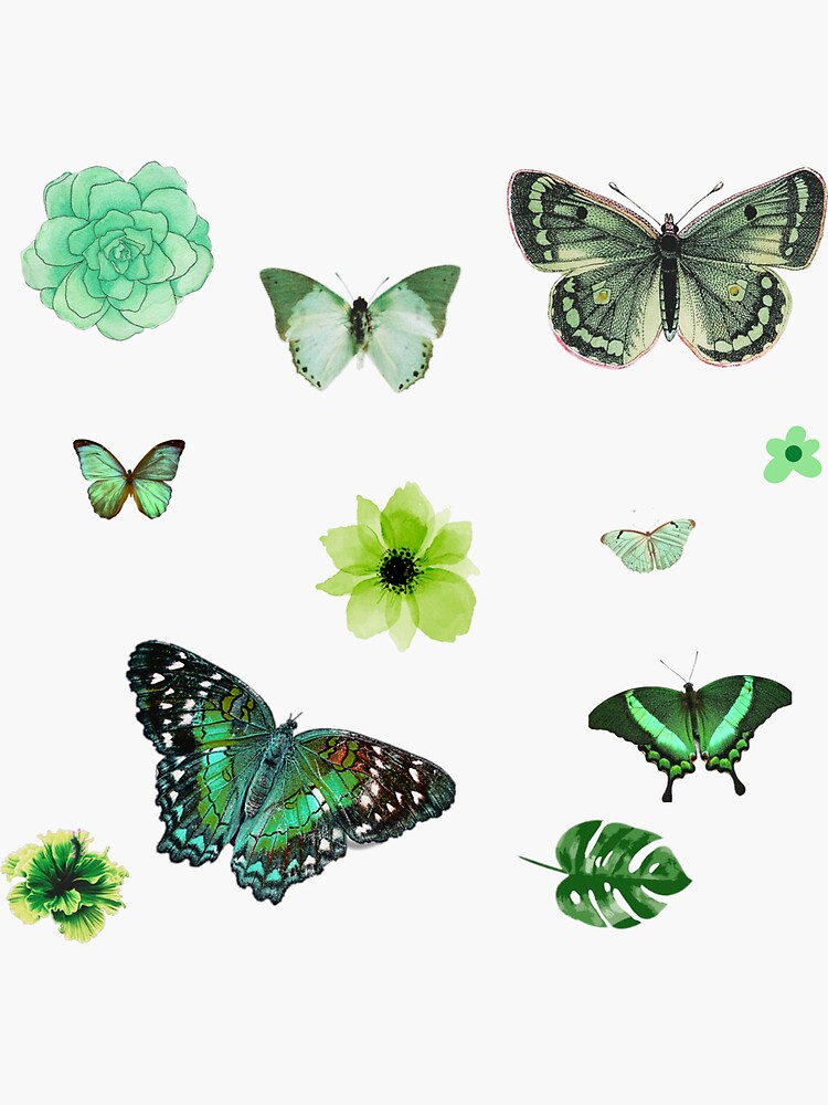 "green flowers and butterflies sticker pack" Sticker by monikizz ...