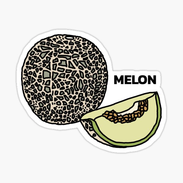 "Melon" Sticker for Sale by Sean-Evans | Redbubble