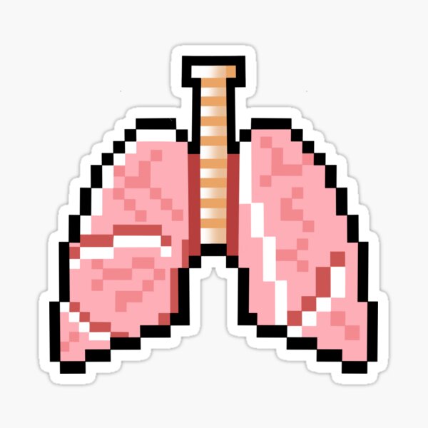 Pegatina «Pixel Art Lungs Body Diagrama» de josieangell | Redbubble