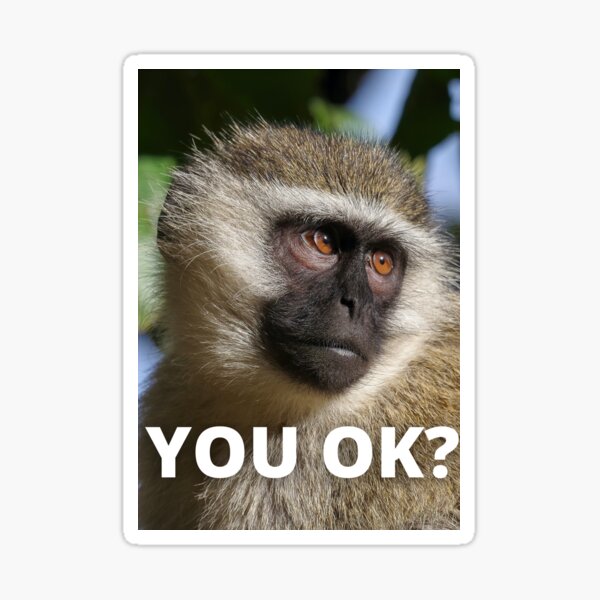 "Monkey mem " Sticker for Sale by sviat333 | Redbubble