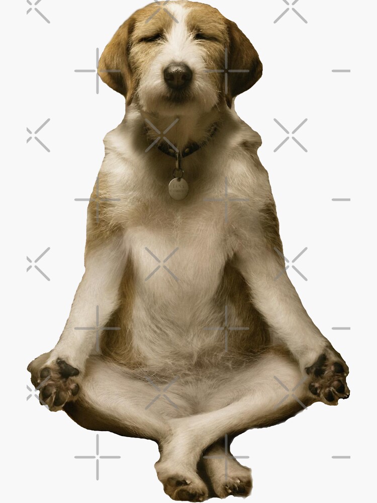 "Spiritual dog meditation" Sticker for Sale by neuronic | Redbubble