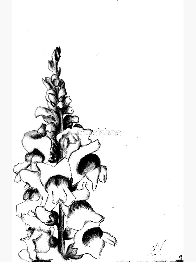 "snapdragon" Sticker for Sale by praeisbae | Redbubble