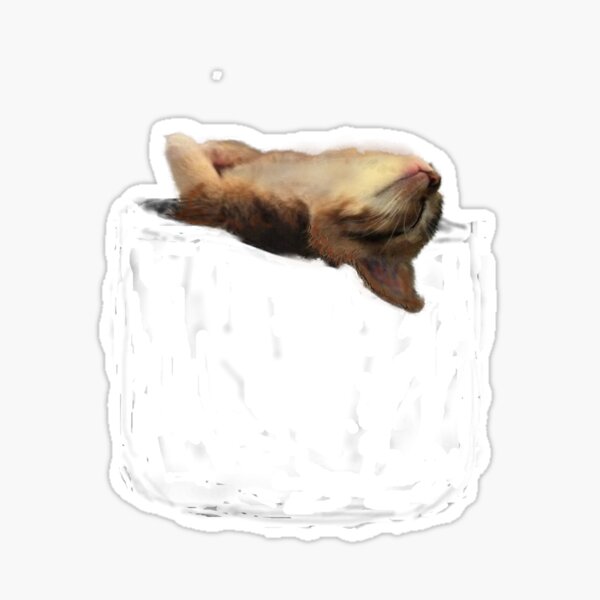 "POCKET SNOOZING KITTY" Sticker for Sale by coffeecountyjim | Redbubble