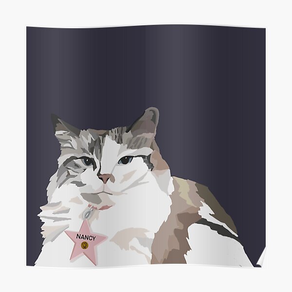 "Nancy" Poster for Sale by kguerin97 | Redbubble