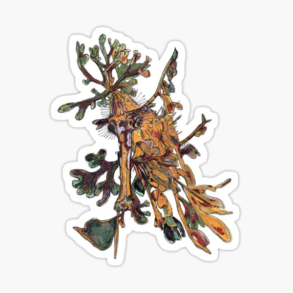 "Carlee the Leafy Sea Dragon" Sticker for Sale by Wildcard-Sue | Redbubble