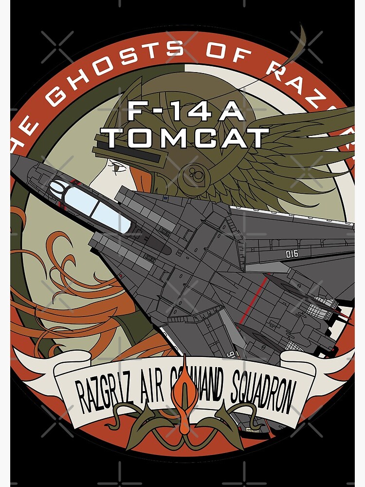 "Ace Combat F-14A Tomcat Razgriz Squadron" Spiral Notebook by fareast ...