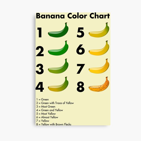 "Banana color chart" Canvas Print for Sale by EnjoyRiot | Redbubble