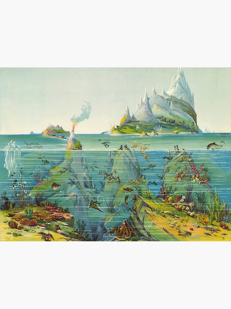 "Yaggy, Levi Walter Nature in Descending Regions 1893 Vintage ...