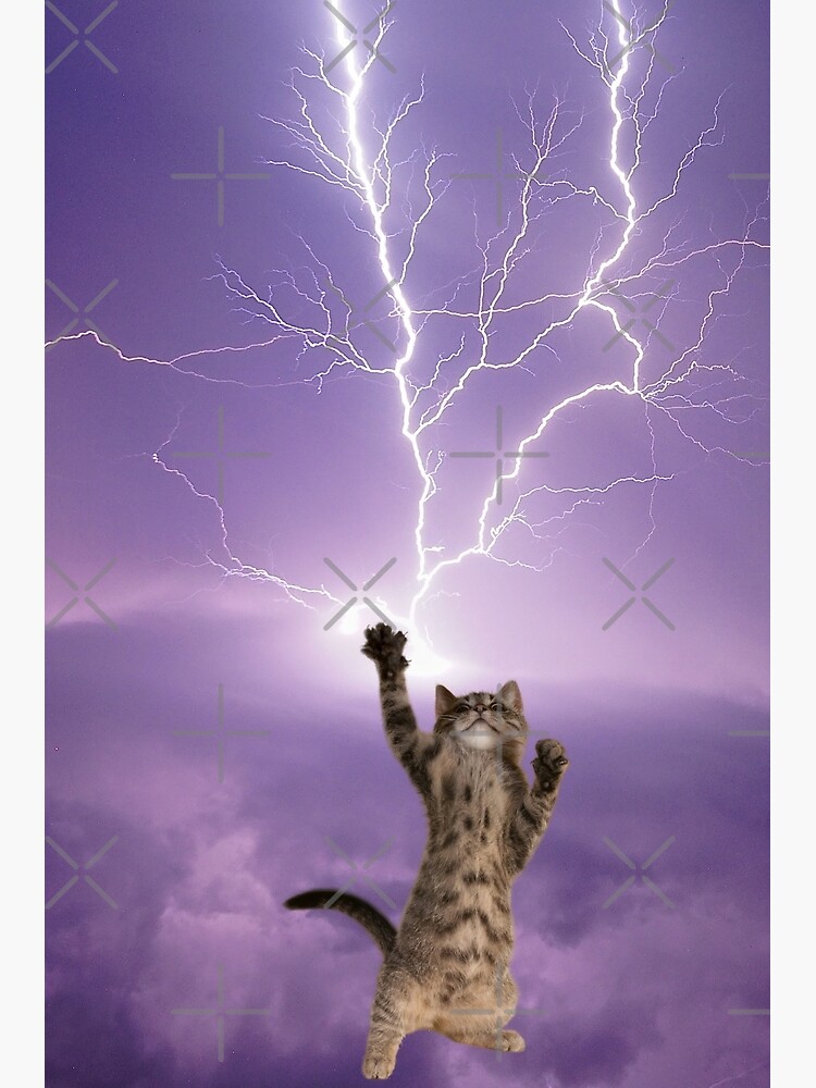 Póster «Gracioso gato poderoso con relámpagos y truenos» de WildWoyages ...