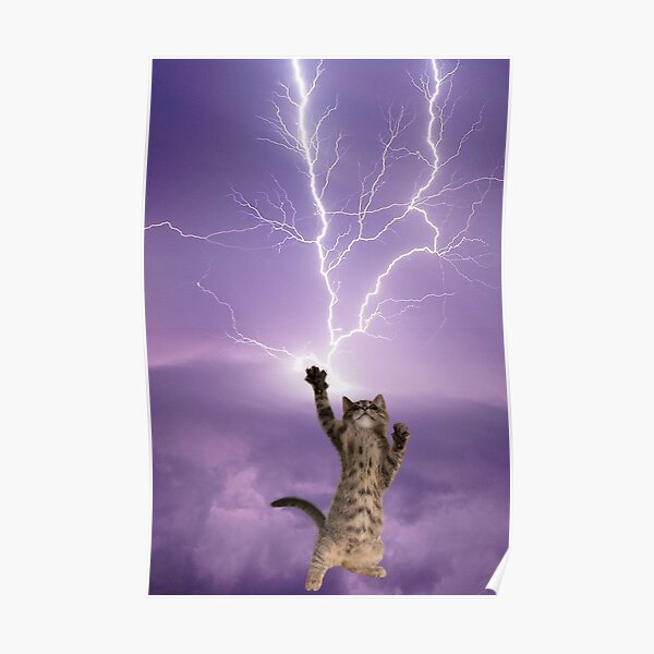 "Funny Powerful Cat with Lightning and Thunder" Poster for Sale by ...