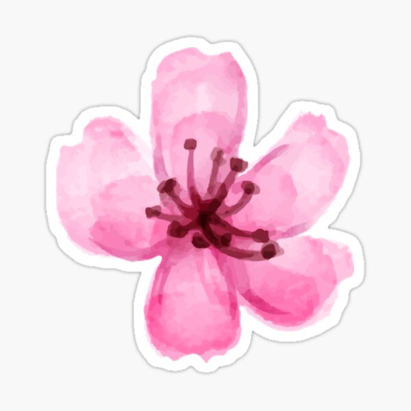"Pink Cherry Blossom Flower" Sticker by MTasnime | Redbubble