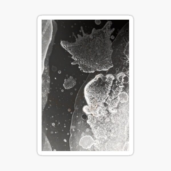 "Pro Bio" Sticker for Sale by fatedesigns | Redbubble