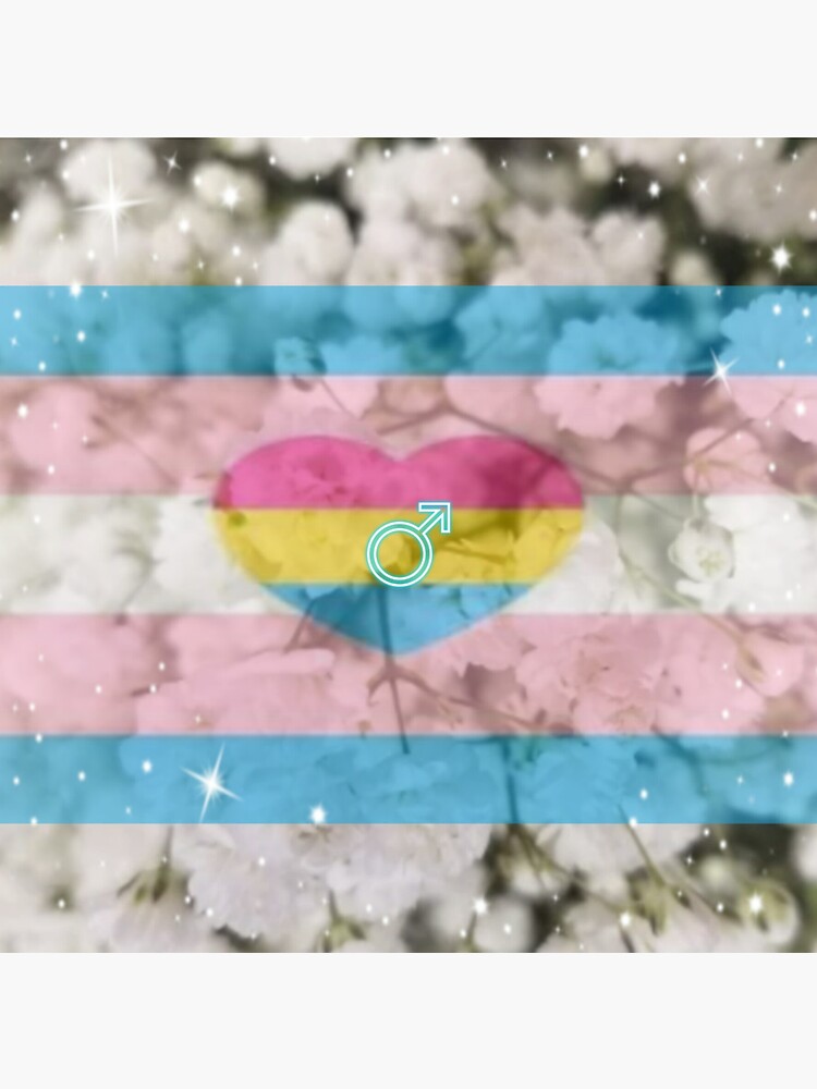 "Pan/Trans Fluff" Sticker for Sale by TuffBee | Redbubble