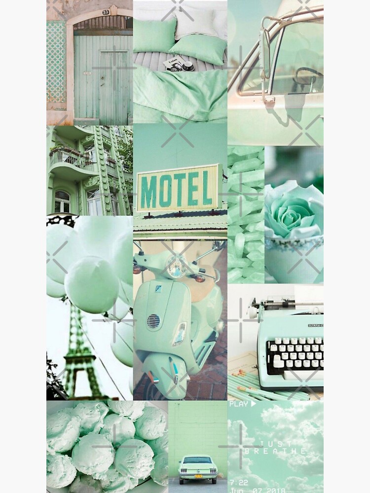 "light green aesthetic collage. " Sticker by emily-choudx | Redbubble