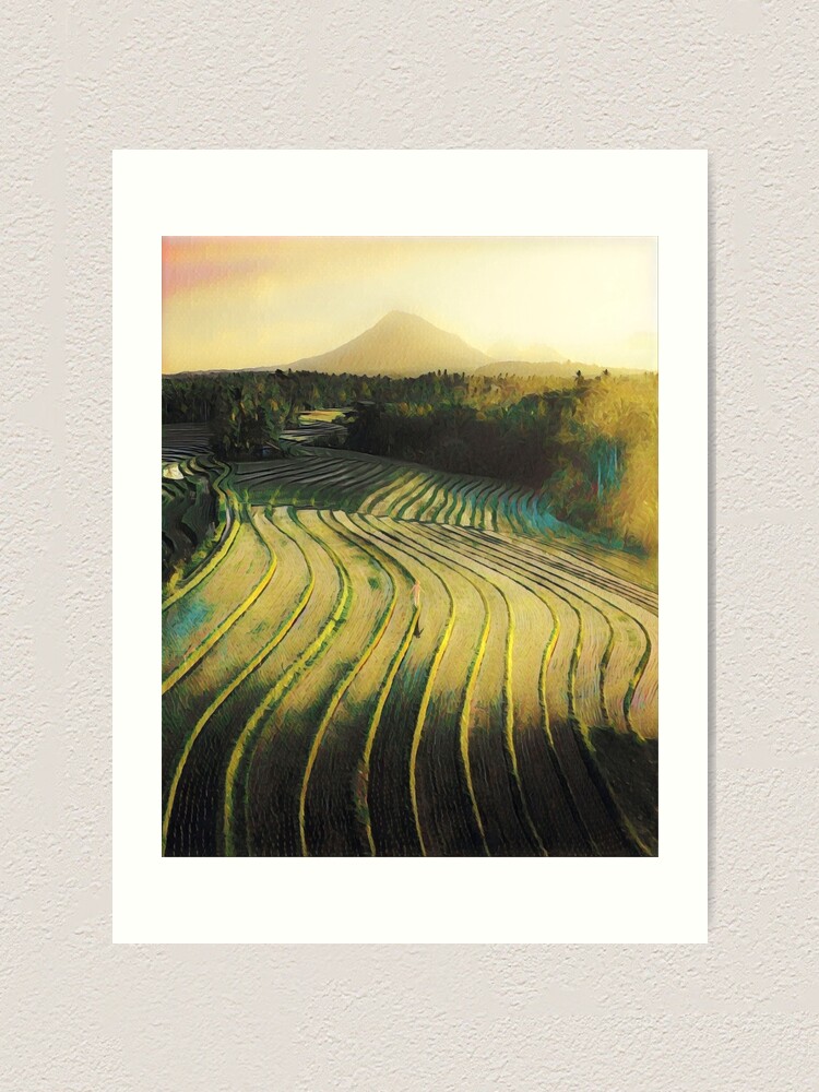 "Rice fields" Art Print for Sale by AnnaAndVibes | Redbubble