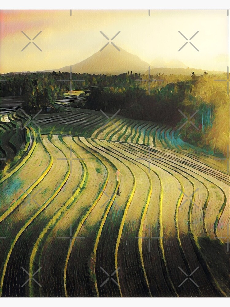 "Rice fields" Art Print for Sale by AnnaAndVibes | Redbubble