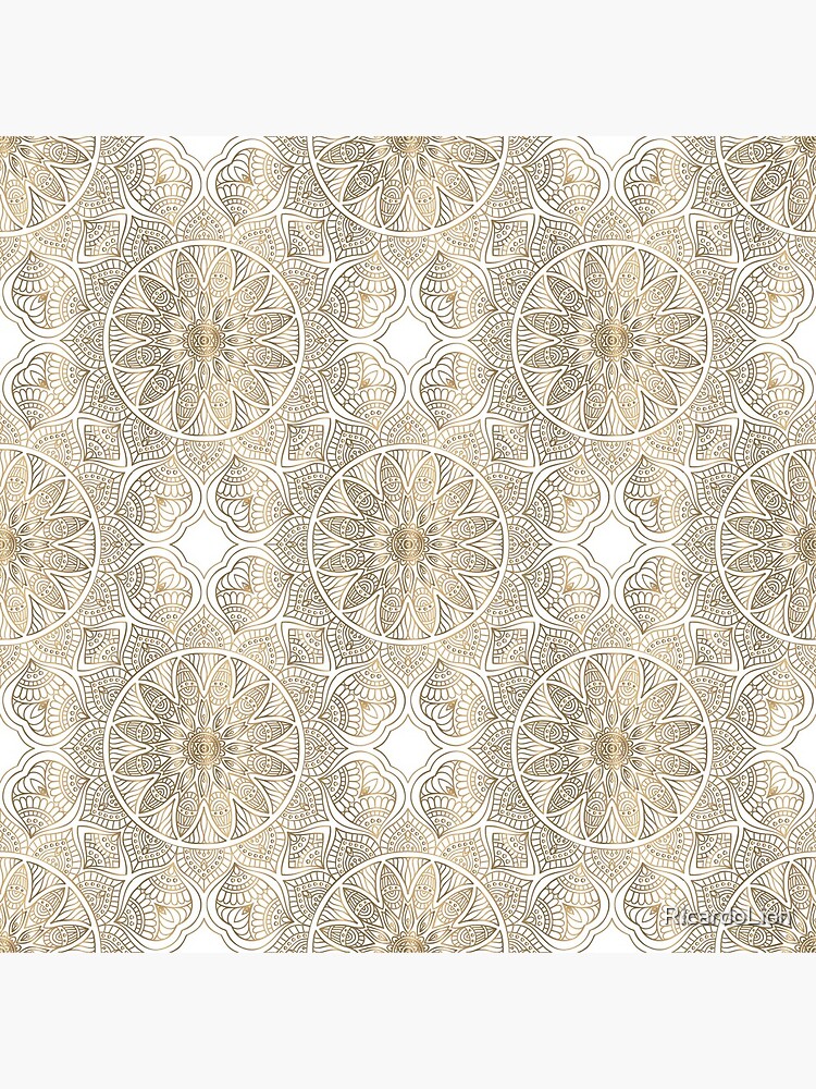 Póster «Textura de León» de RicardoLion | Redbubble